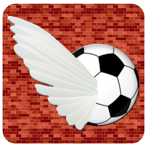 Soccer Bird